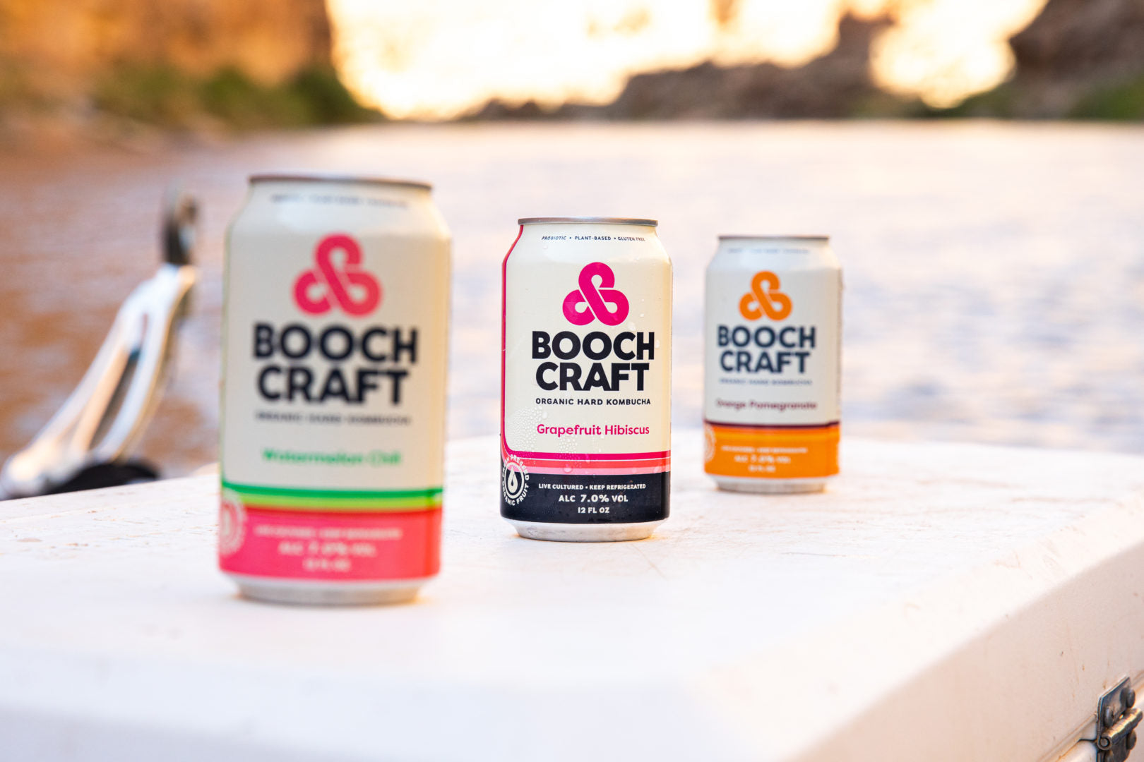 Making the Transition from Bottles to Cans – Boochcraft