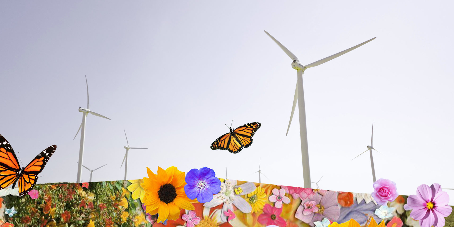 Boochcraft is 100% Wind Powered