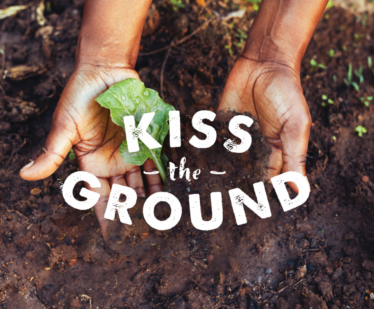 Boochcraft loves to "Kiss the Ground." Our Journey with Regenerative A