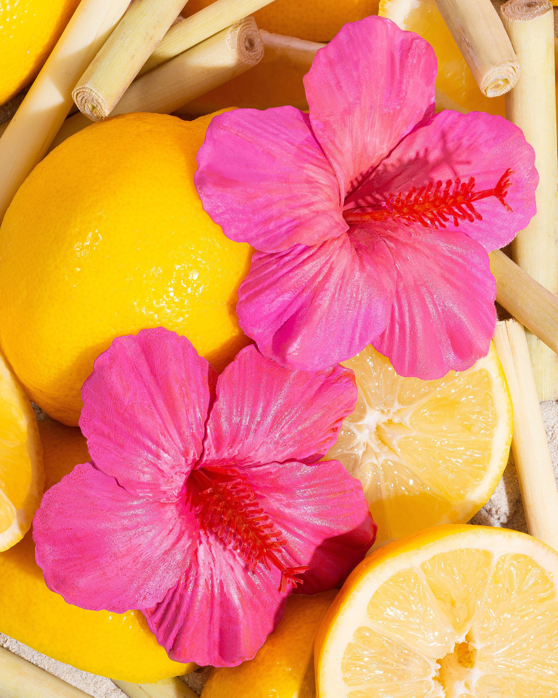 Boochcraft Hibiscus Lemonade Hard Kombucha