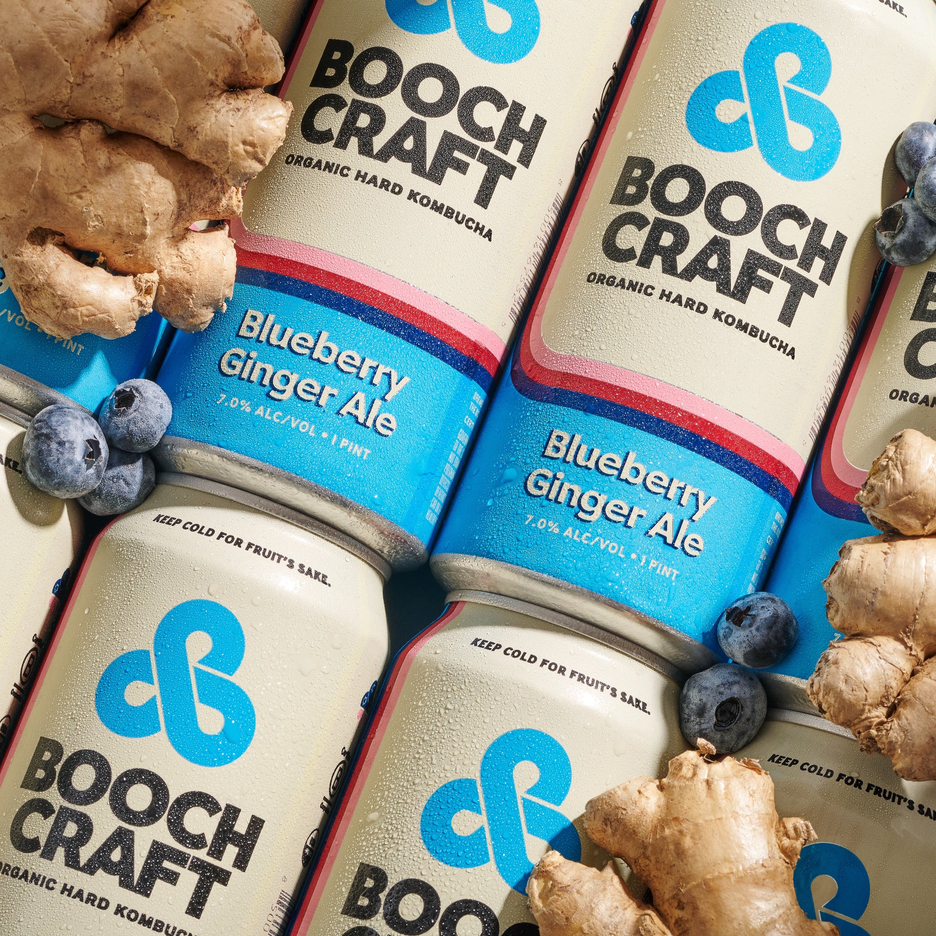 Blueberry Ginger Ale – Boochcraft