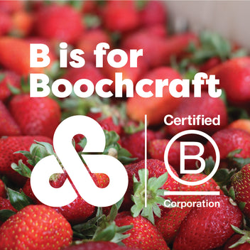 Boochcraft Organic Hard Kombucha | Crafted with Real Fruit