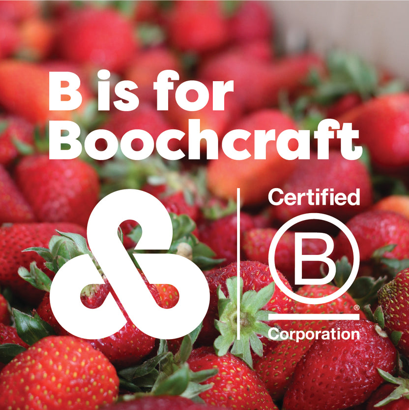 Boochcraft Organic Hard Kombucha | Crafted with Real Fruit