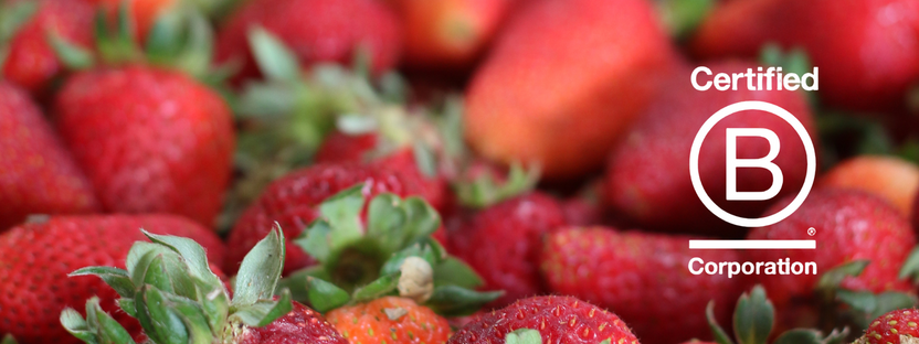 Boochcraft Organic Hard Kombucha | Crafted with Real Fruit