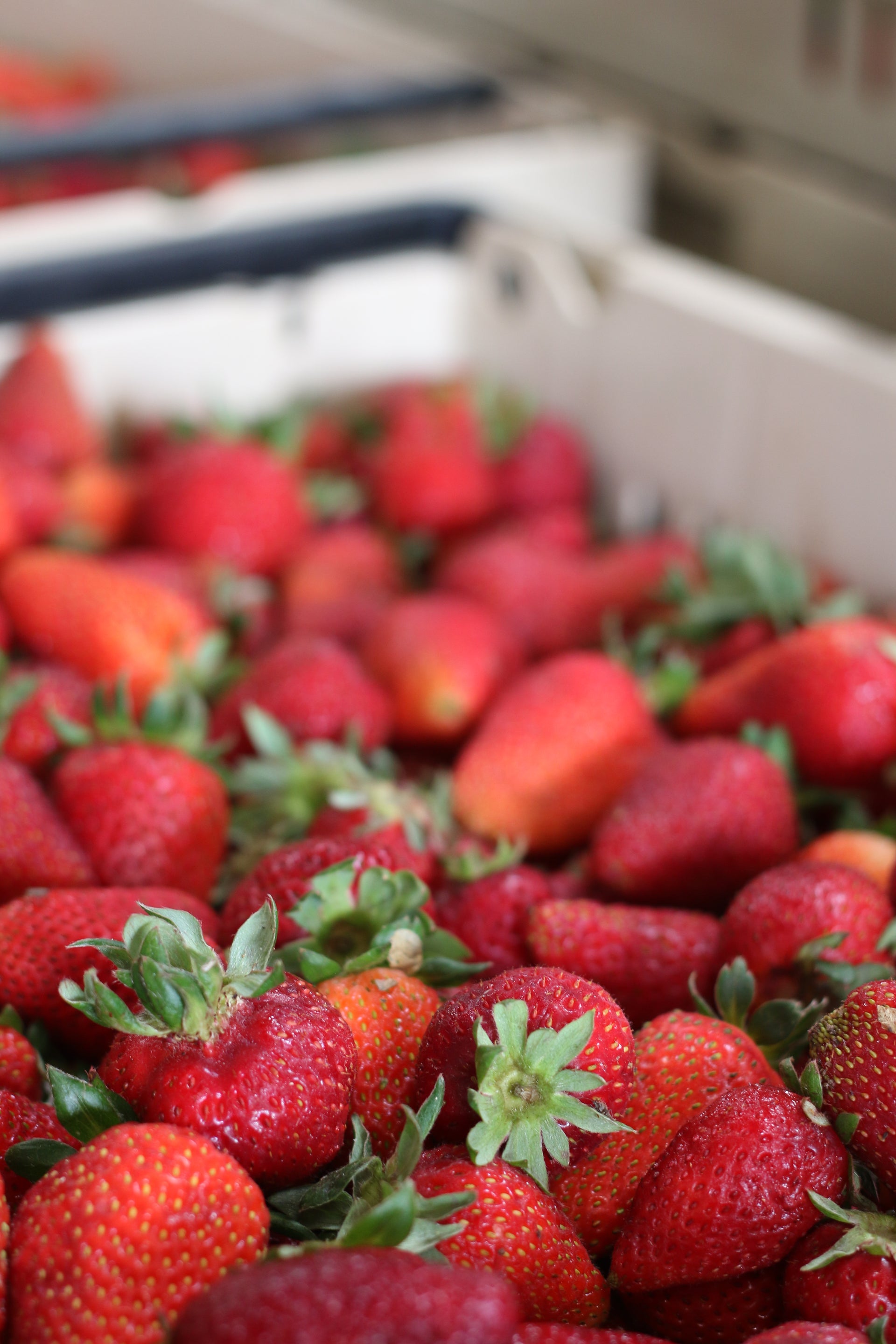 Boochcraft - Crafted with Real Fruit and Nothing Artificial.